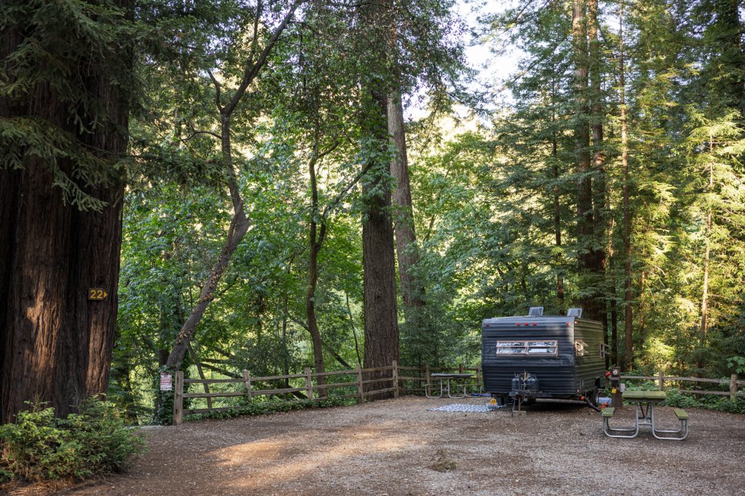 Santa Cruz Redwoods RV Resort: Park Spotlight - Campspot