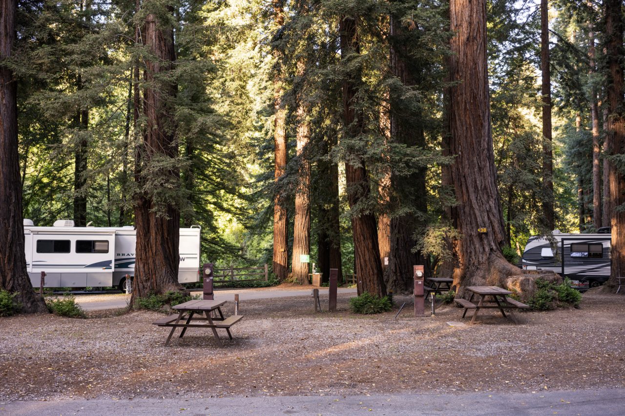 Santa Cruz Redwoods RV Resort: Park Spotlight - Campspot