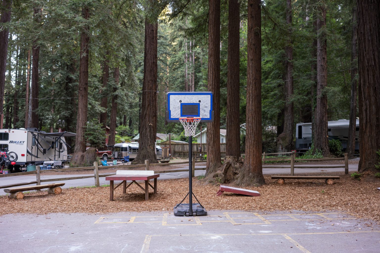 Santa Cruz Redwoods RV Resort: Park Spotlight - Campspot Camp Guide