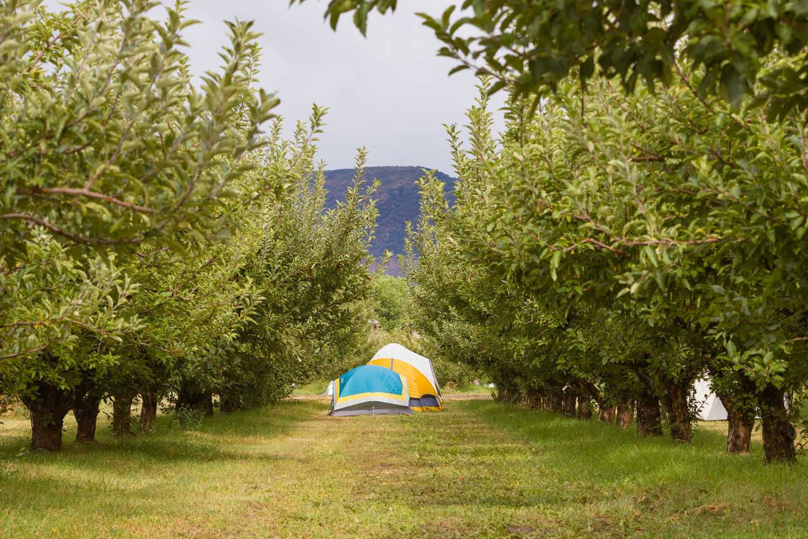 6 Fantastic Campgrounds for This Apple Picking Season - Campspot