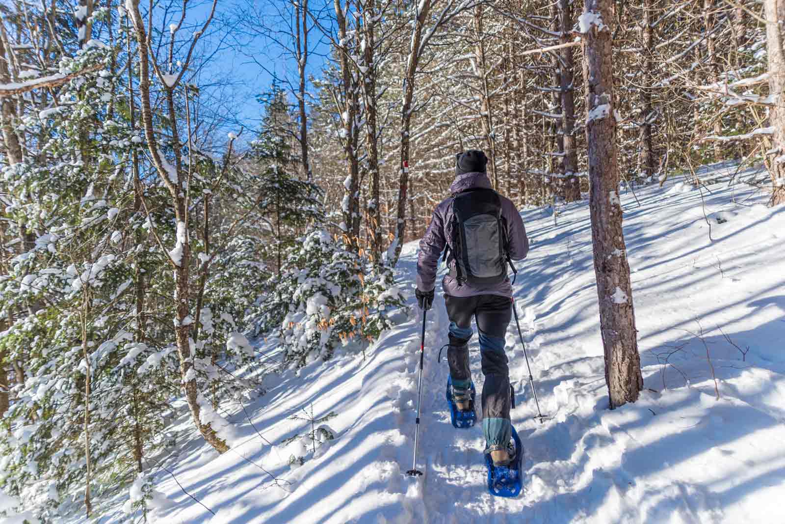 14 Snowshoeing Tips for Beginners - Campspot Camp Guide