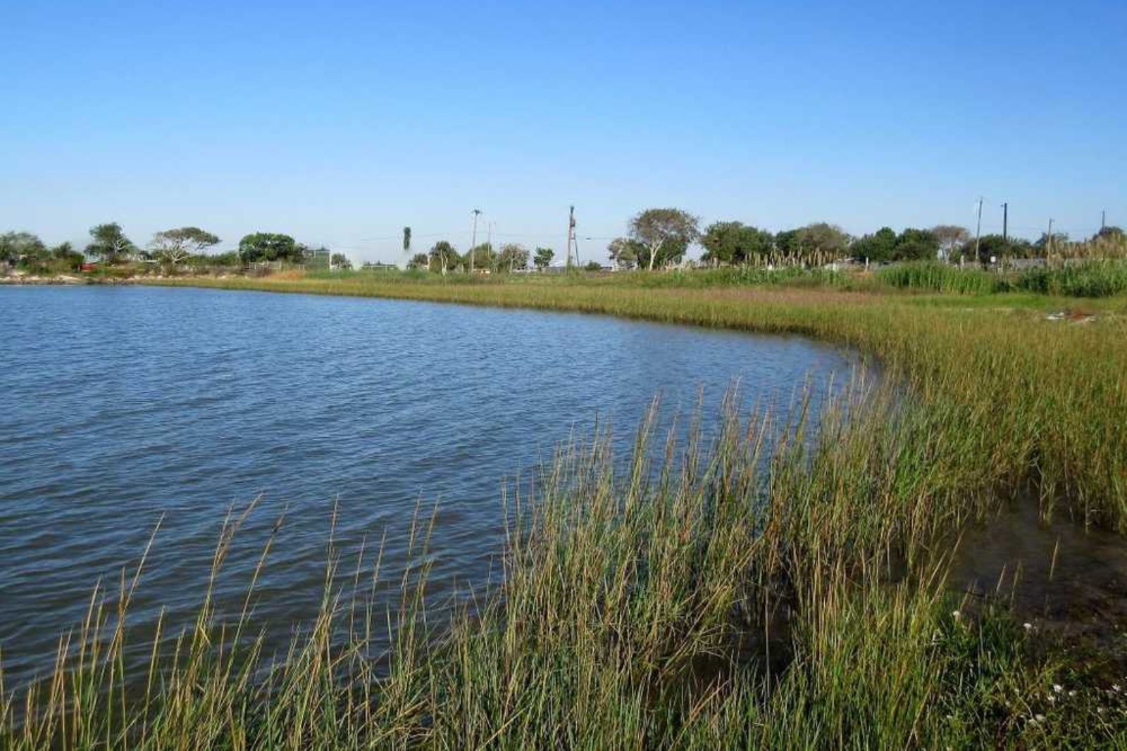 11 Best Campgrounds Near Houston, TX - Campspot